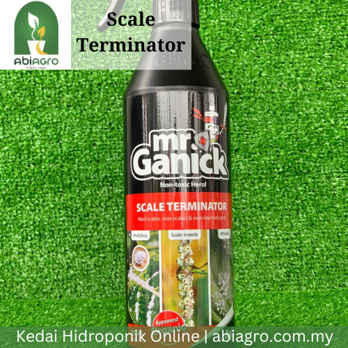Baba Mr Garnick Scale Terminator | Shopee Malaysia