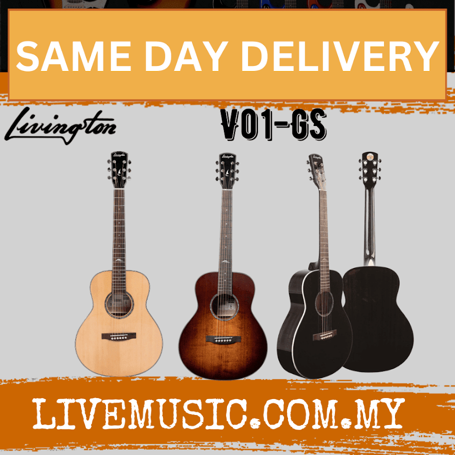 Livingston V01-GS EQ 38" Solid Top Acoustic-Electric Guitar, Rosewood ...