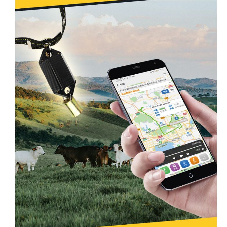 GPS, Solar Satellite, Beidou Anti Loss Device, Camel and Horse ...