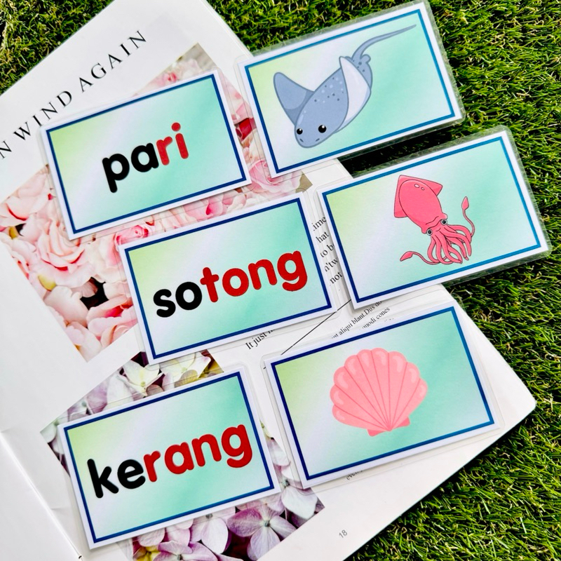 121 Bahasa Malaysia Flash Card·马来文识字字卡】BM｜马来文识字｜早教学习安静书 | Montessori ...