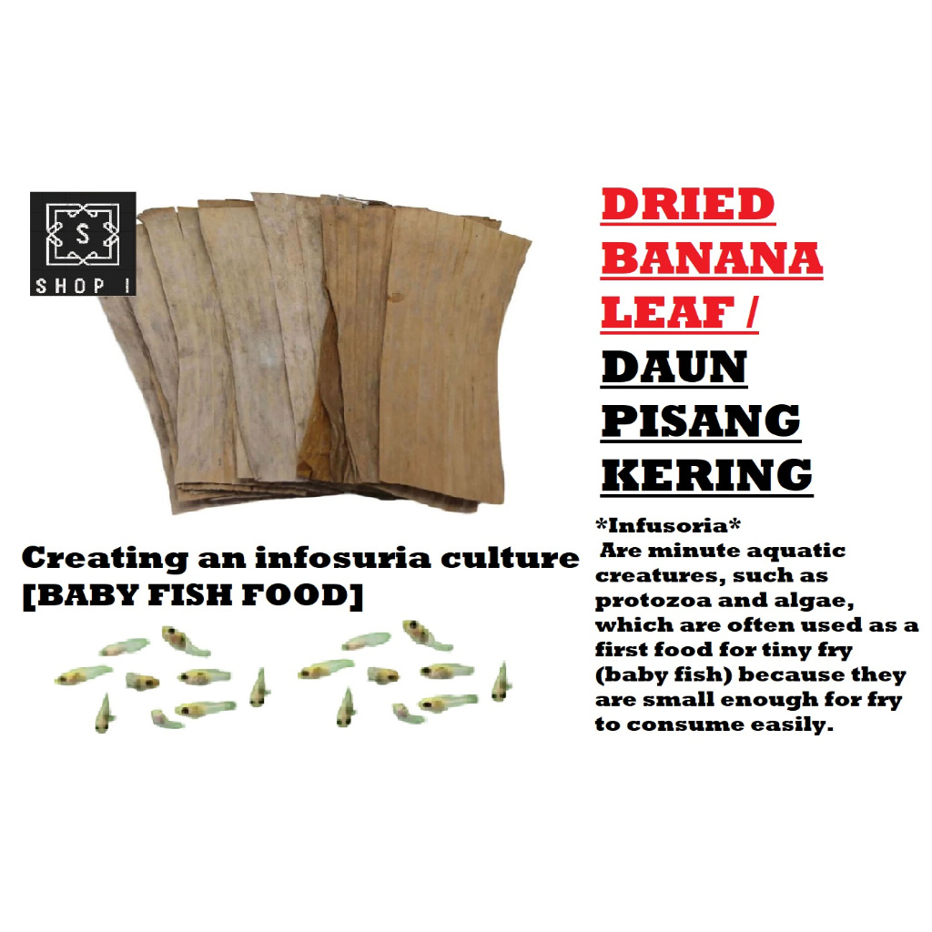 Daun Pisang Kering 100Gram/ Dried Banana Leaf 100gram untuk penghasilan ...
