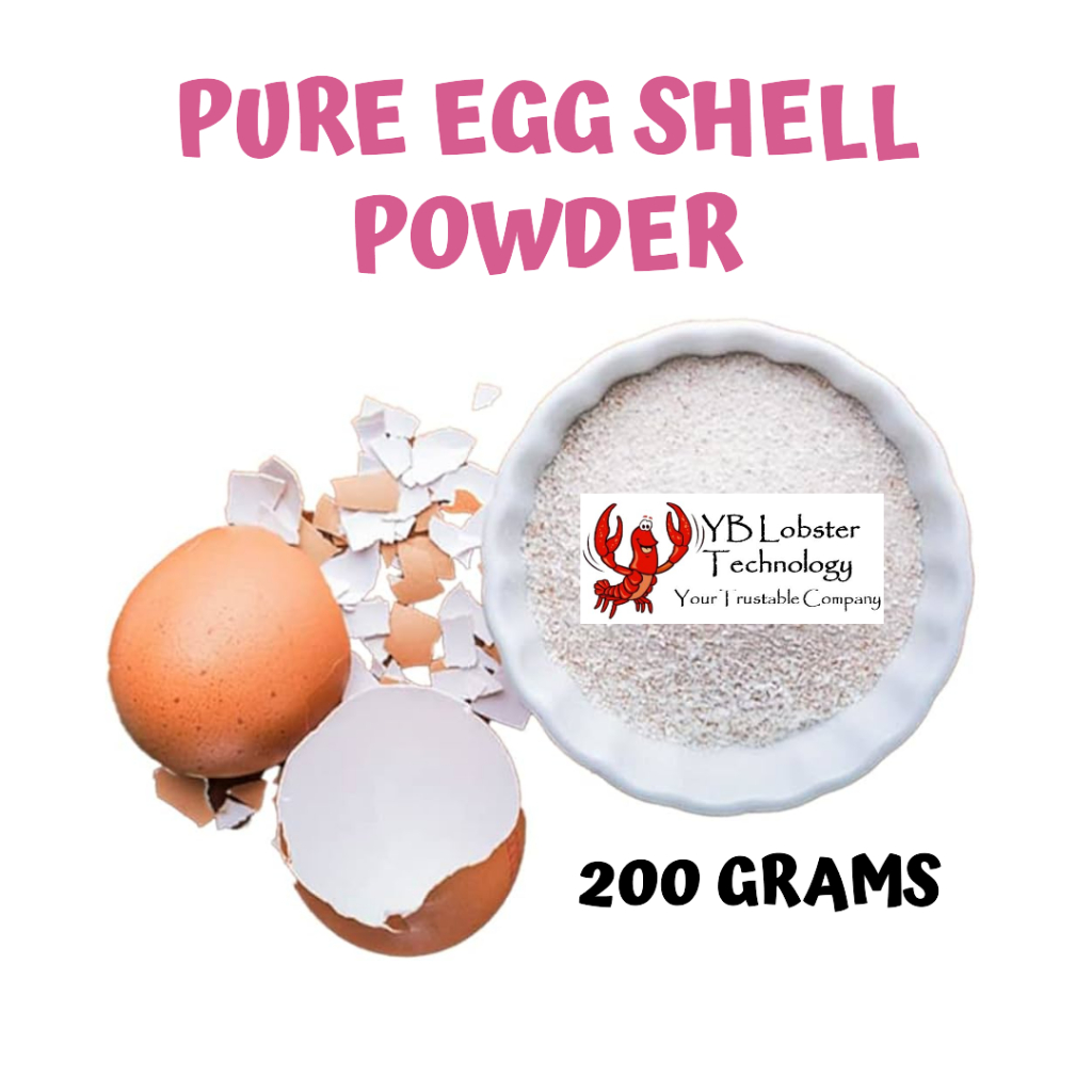 Chicken Egg shell powder 200g for Pets & Garden use | Shopee Malaysia