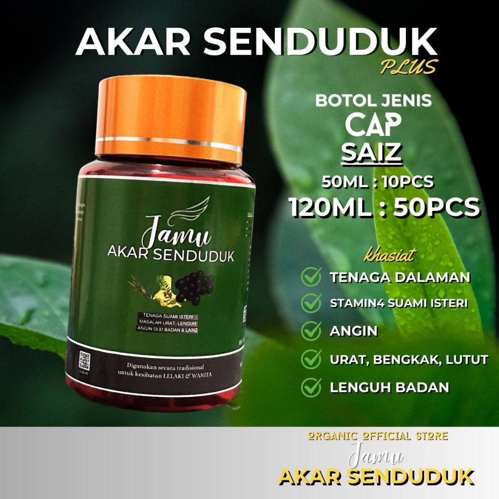 JAMU AKAR SENDUDUK Original Baik Untuk Masalah Sendi, Saraf, Angin Dan ...