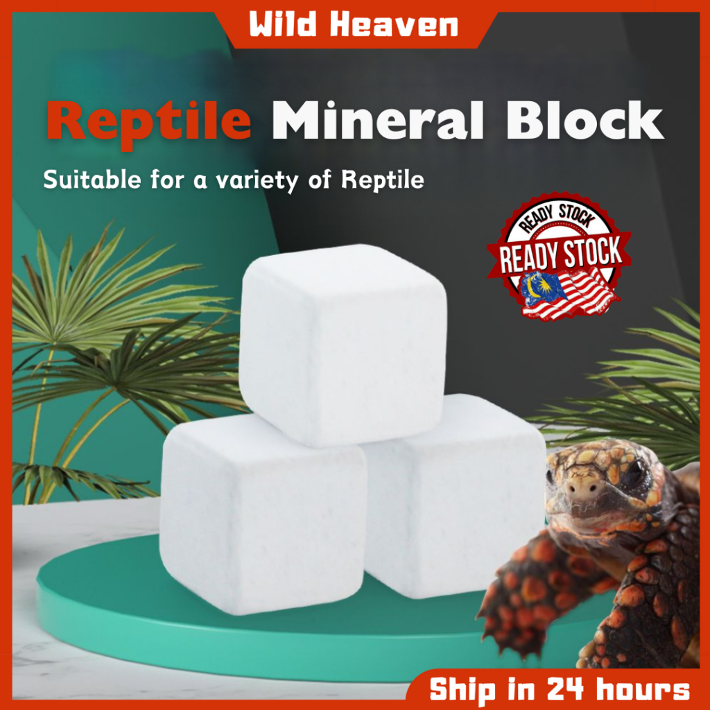 Reptile Mineral Block Supplement Tortoise Vitamin Bearded Dragon Turtle ...