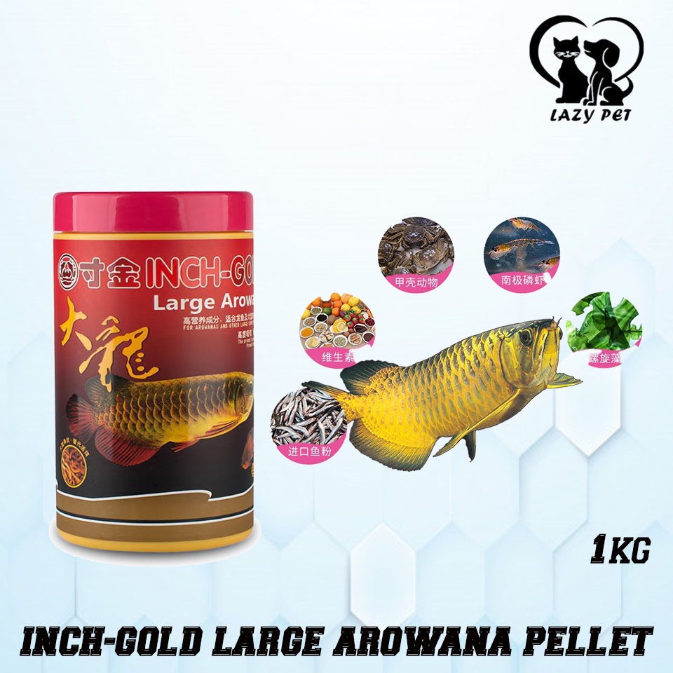 Inch-Gold Large Arowana Fish Food Stick Pellet Diet (Floating) 1KG ...