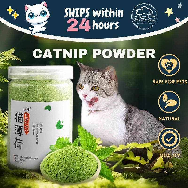 Catnip Powder Murah Cat Mint Powder Catnip Treat Cat Treats Catnip Food Cat Snack Snek Kucing ...