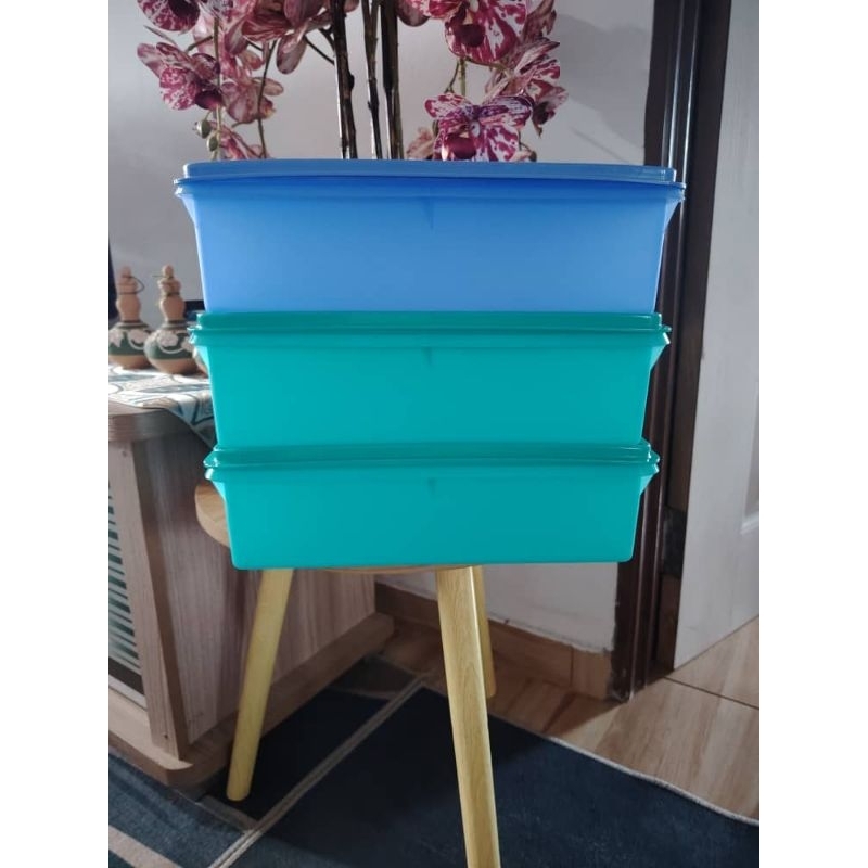 1 biji tupperware party keeper 3 liter (random colour) | Shopee Malaysia