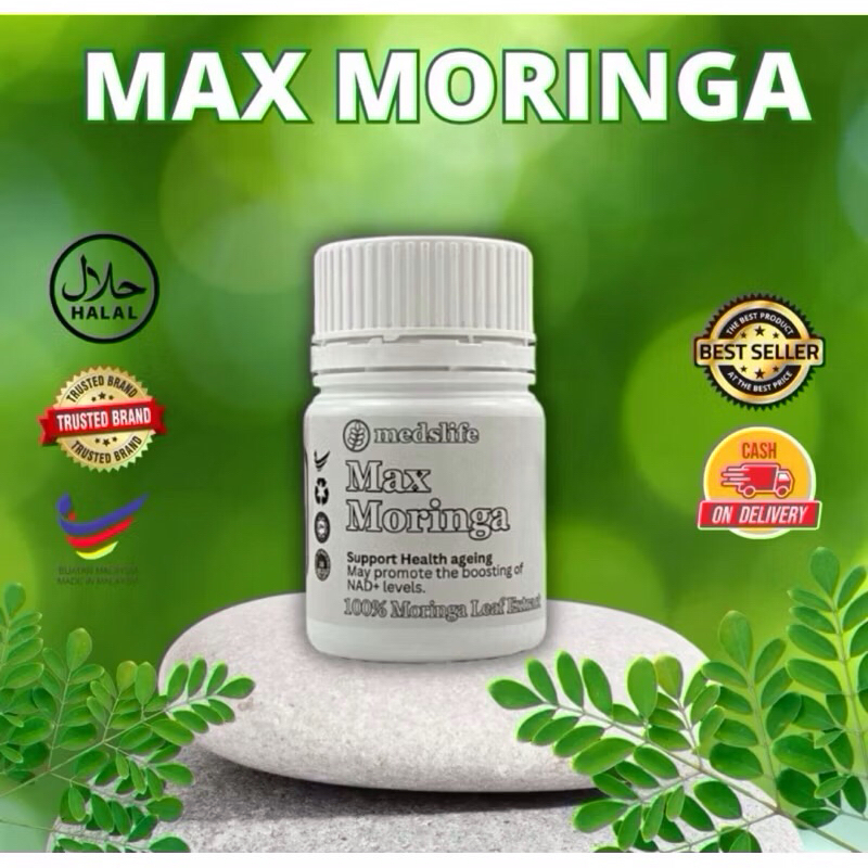 OFFER‼️ (Post Today) MAX MORINGA ORIGINAL HQ [ SUPERFOOD LEAVES ] DND MORINGA / TEA MORINGA ...