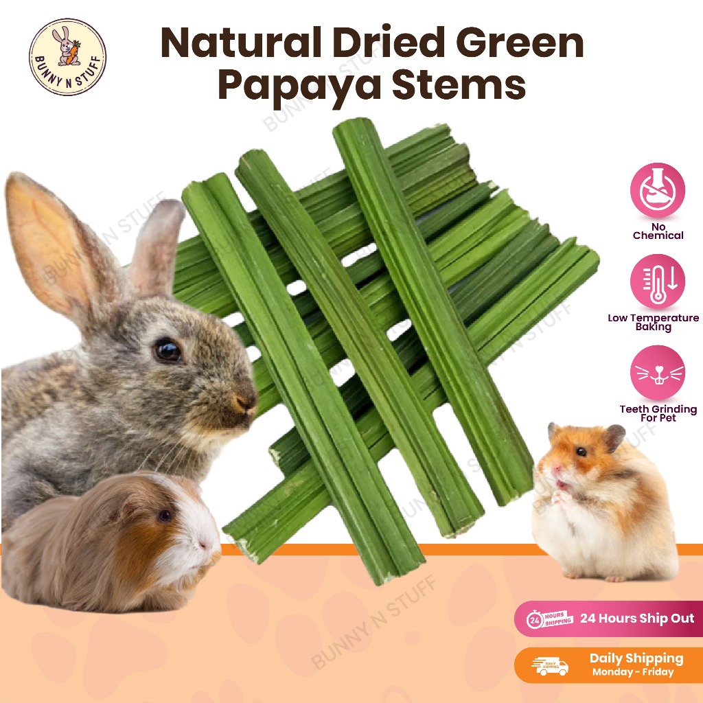 Natural Dried Green Papaya Stems Rabbit Molar Snack, hamster chinchilla ...