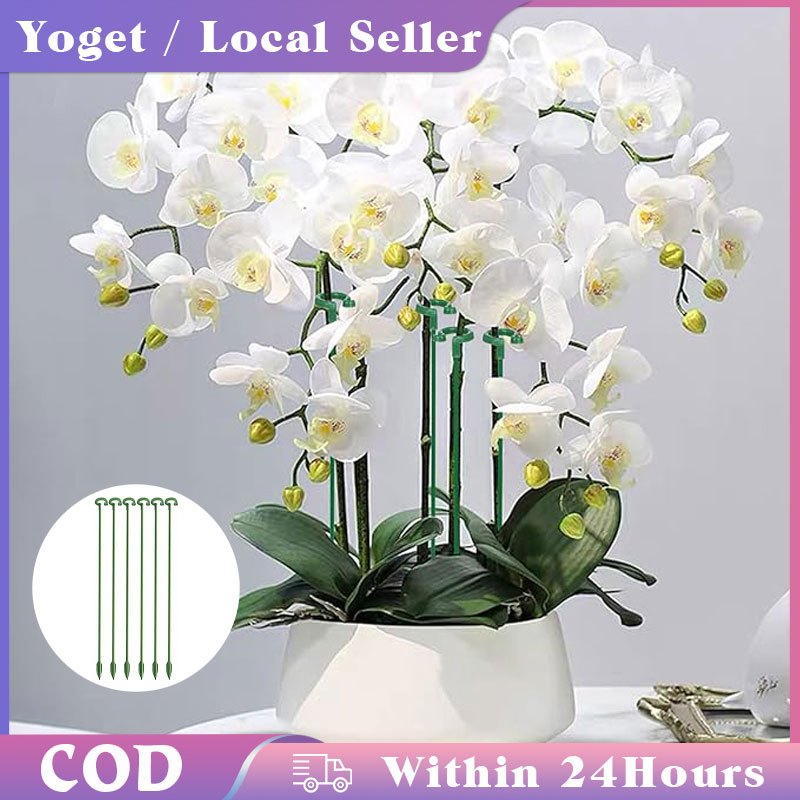 6pcs Plastic Plant Support / Potted Flower Moulding Support Rod ...