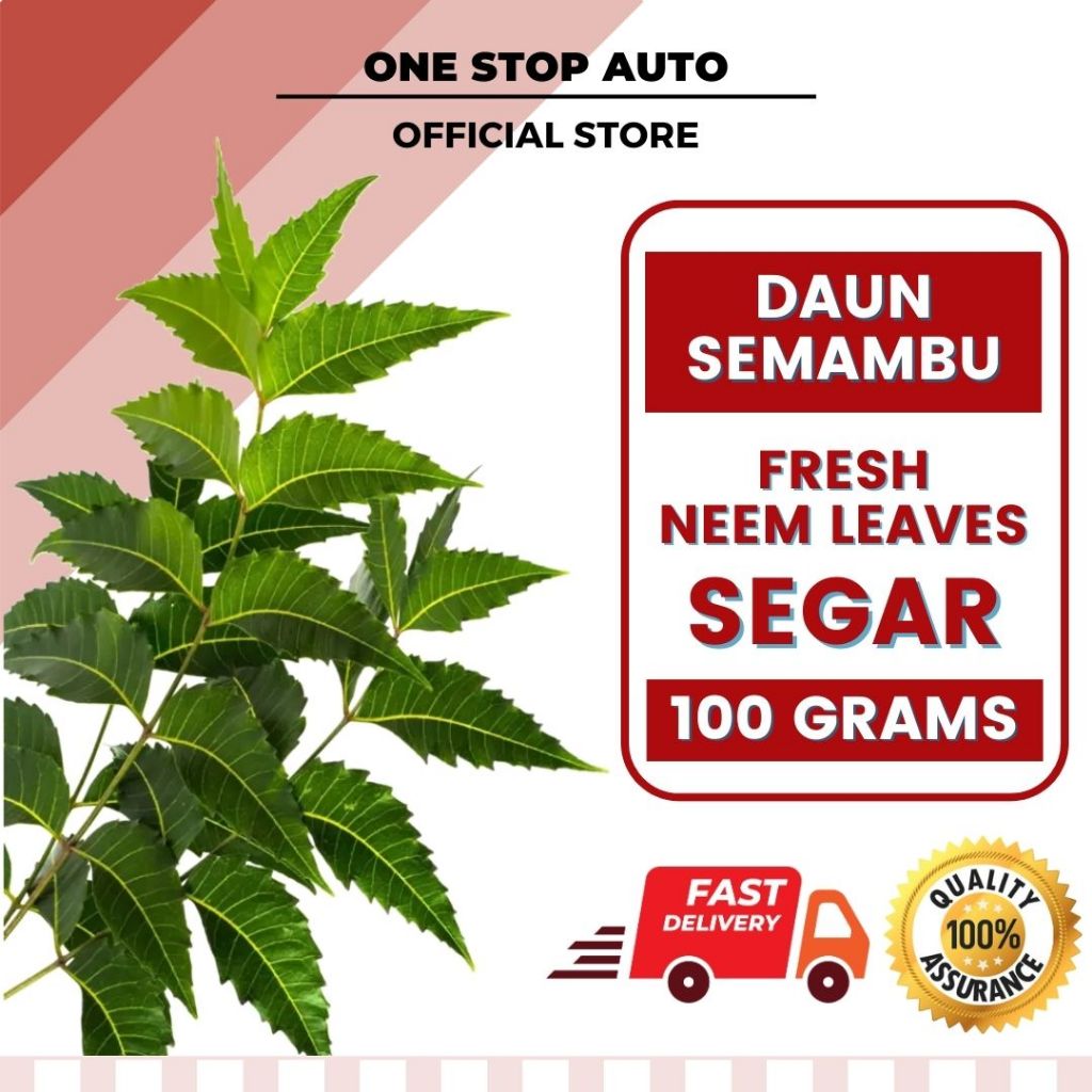 100G Daun Semambu Segar | Neem Leaves Fresh Pos Setiap Hari | Shopee ...