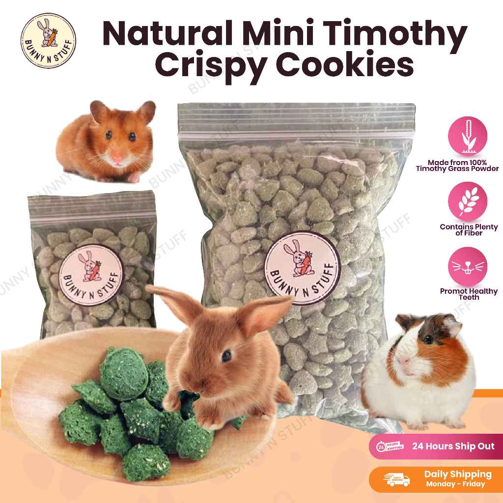 Natural Mini Timothy Crispy Cookies 🔥Pet Snack Timothy Hay Molar ...