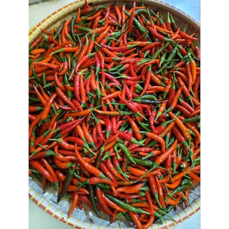 Cili Padi Merah Segar 200gram RM4.90 Sahaja! / Cili Api🔥 | Shopee Malaysia