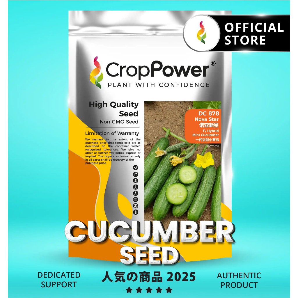 (500 SEEDS) Biji Benih Timun Mini Parthenocarpic Nova Star 诺亚新星 DC878 ...