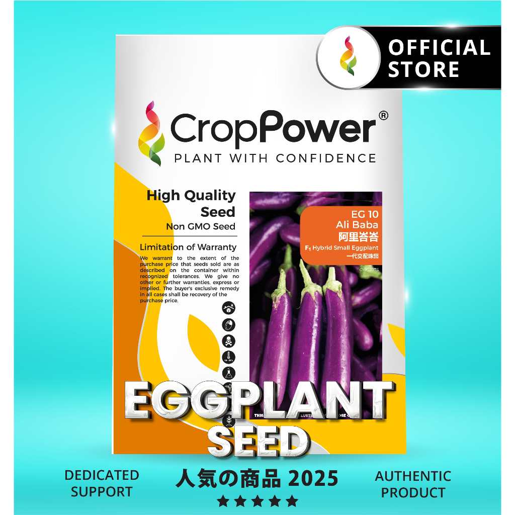 HOT ITEM🔥 (10 GRAM) Biji Benih Terung Mini Ali Baba 阿里峇峇 EG10 CROP ...