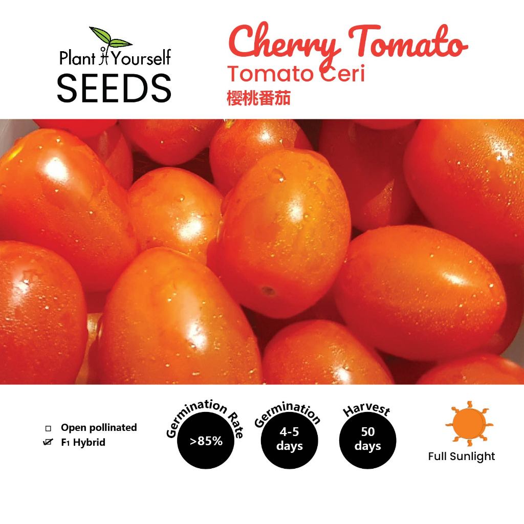 BENIH Tomato Ceri / SEEDS Cherry Tomato / 种子 - 樱桃番茄 (20 seeds | 0.15g ...
