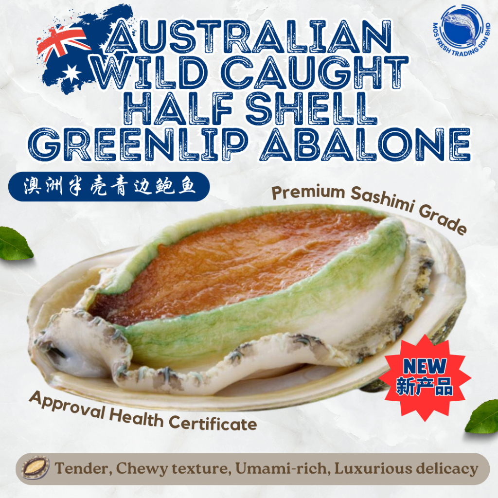 🔥New Product🔥Sashimi Grade🔥Australian Wild Caught Half Shell Greenlips ...