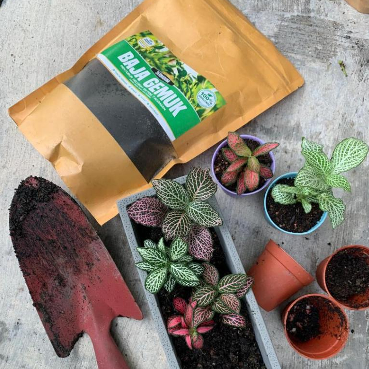 (100% Organic) Baja Gemuk Baja Buah Baja Sayur Baja Subur | Shopee Malaysia