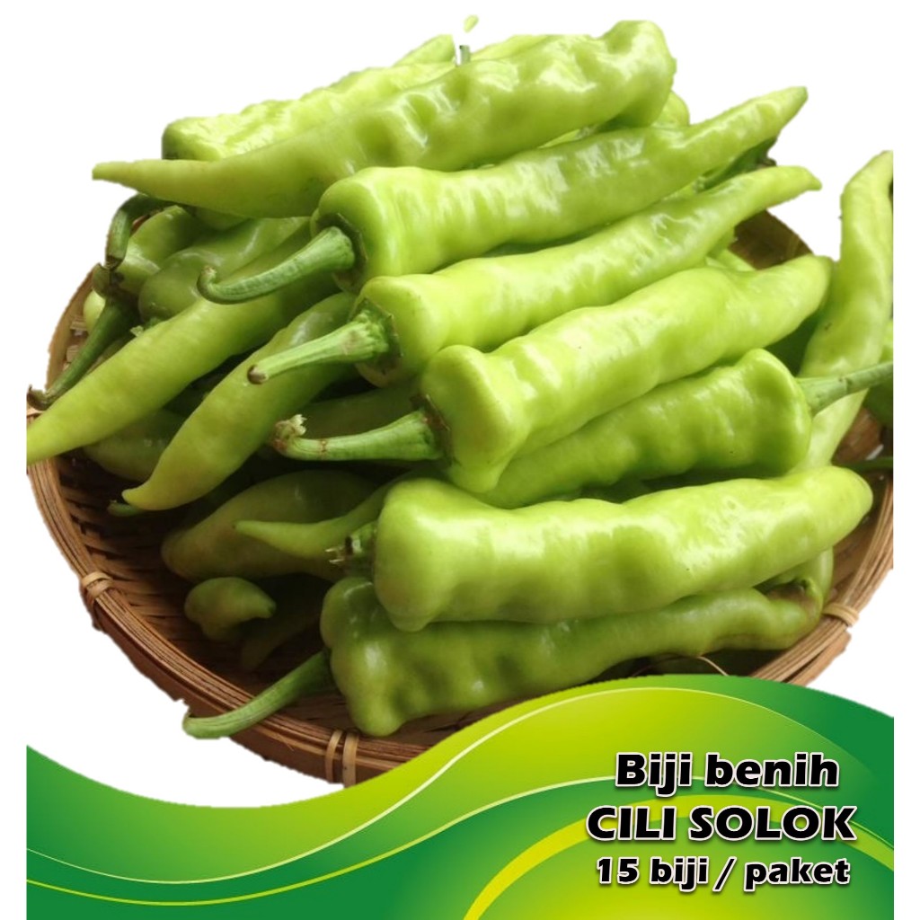 Biji Benih Cili Solok (15 biji sepacket) / Chilli seeds | Shopee Malaysia