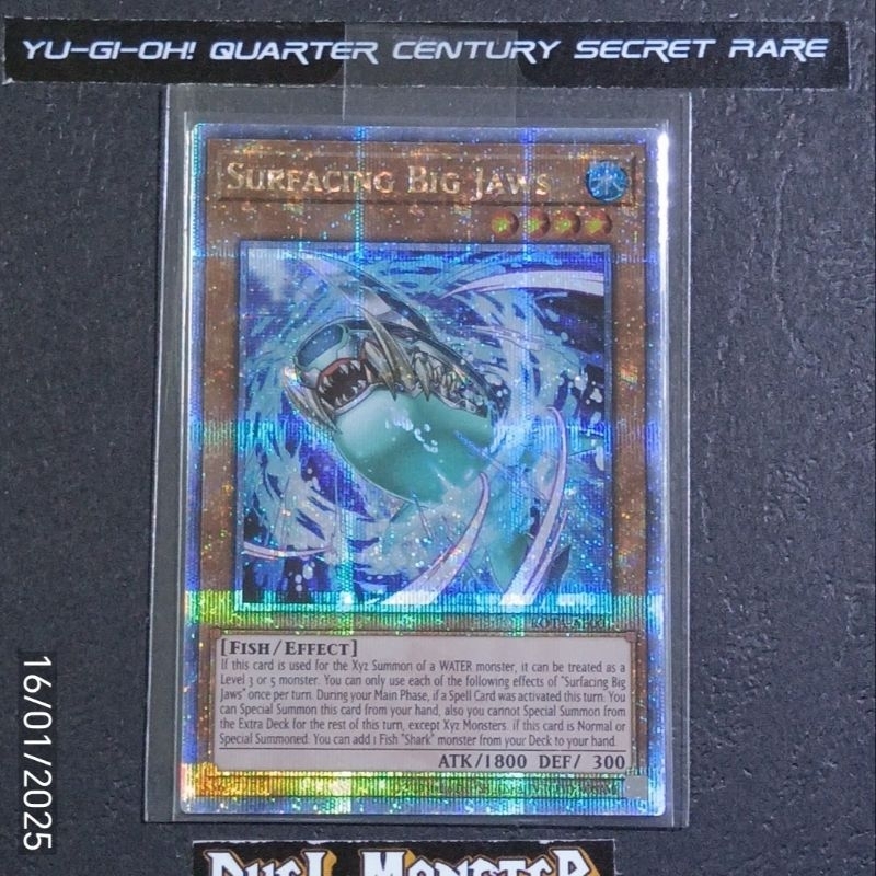 Rota-AE001 Surfacing Big Jaws (QCSR) | Shopee Malaysia