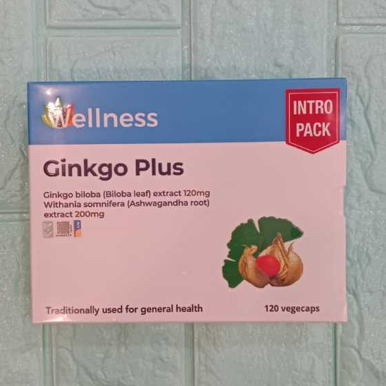 Wellness Ginkgo Plus (For Blood Circulation) 120s | Shopee Malaysia