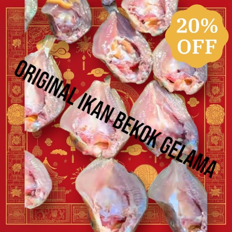 Ikan Bekok Gelama Kelantan | Shopee Malaysia