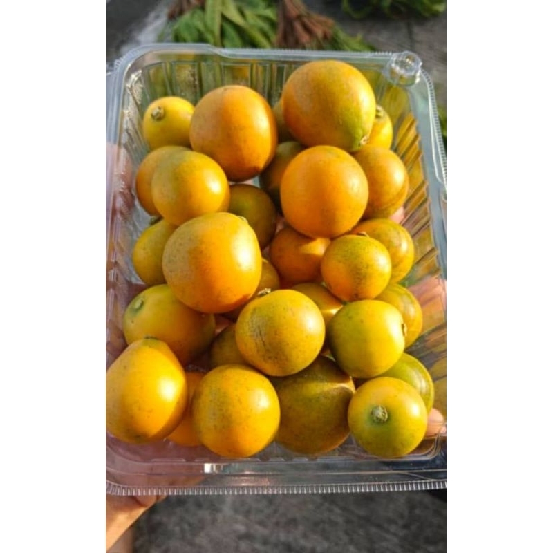 Limau Kumquat Viral Kulit & Isi Manis 450g | Shopee Malaysia