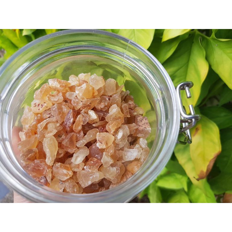 Getah Anggur / Almond Gum / Badam Pisin - 1kg | Shopee Malaysia