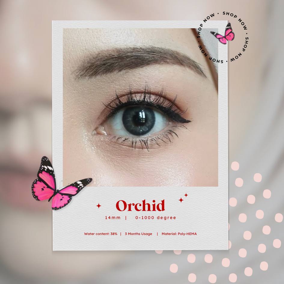 TemyLens Soft contact Lenses ( Orchid ) | Shopee Malaysia