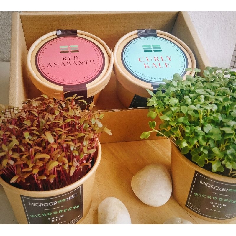 2 Tubs | Microgreens Grow Kit | Grow Your Own | Shopee Malaysia