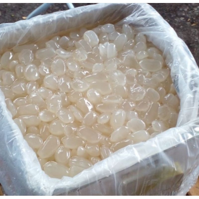 Buah Kabung Tempatan Attap Seed Self Repack 1 x 500g | Shopee Malaysia