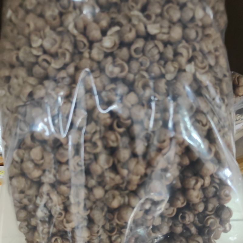 mini coco crunch 1kg | Shopee Malaysia