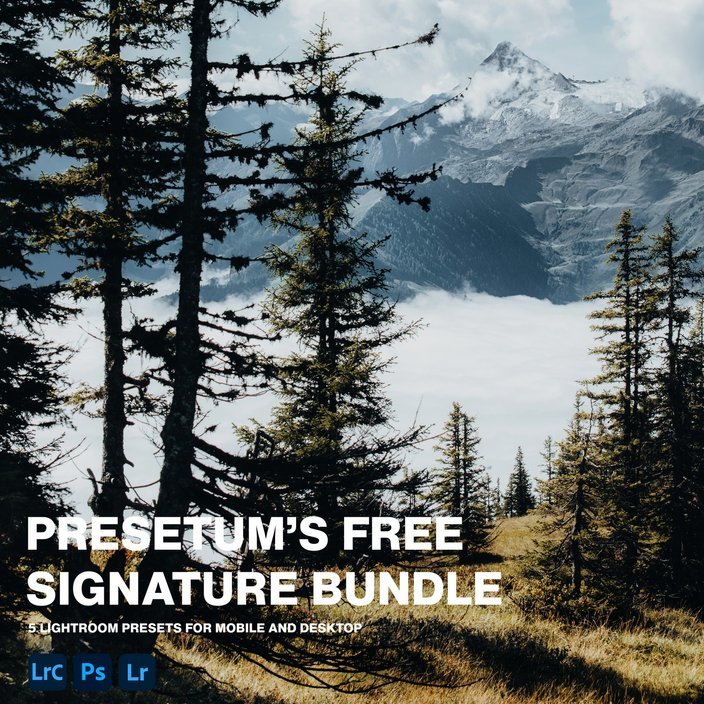 Signature Bundle - Lightroom Presets for Mobile and Desktop | Shopee ...