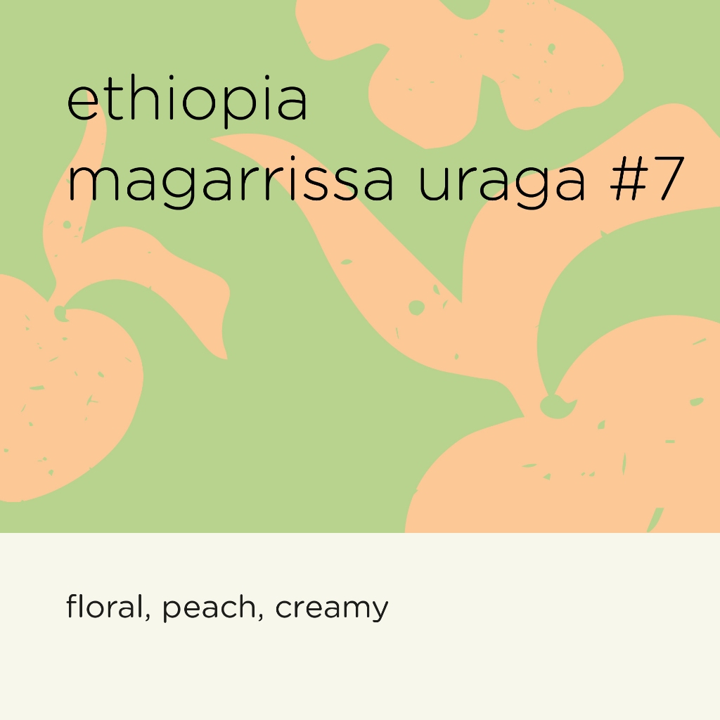 Ethiopia Magarissa Uraga #7| Single Origin Espresso Beans | 100% ...