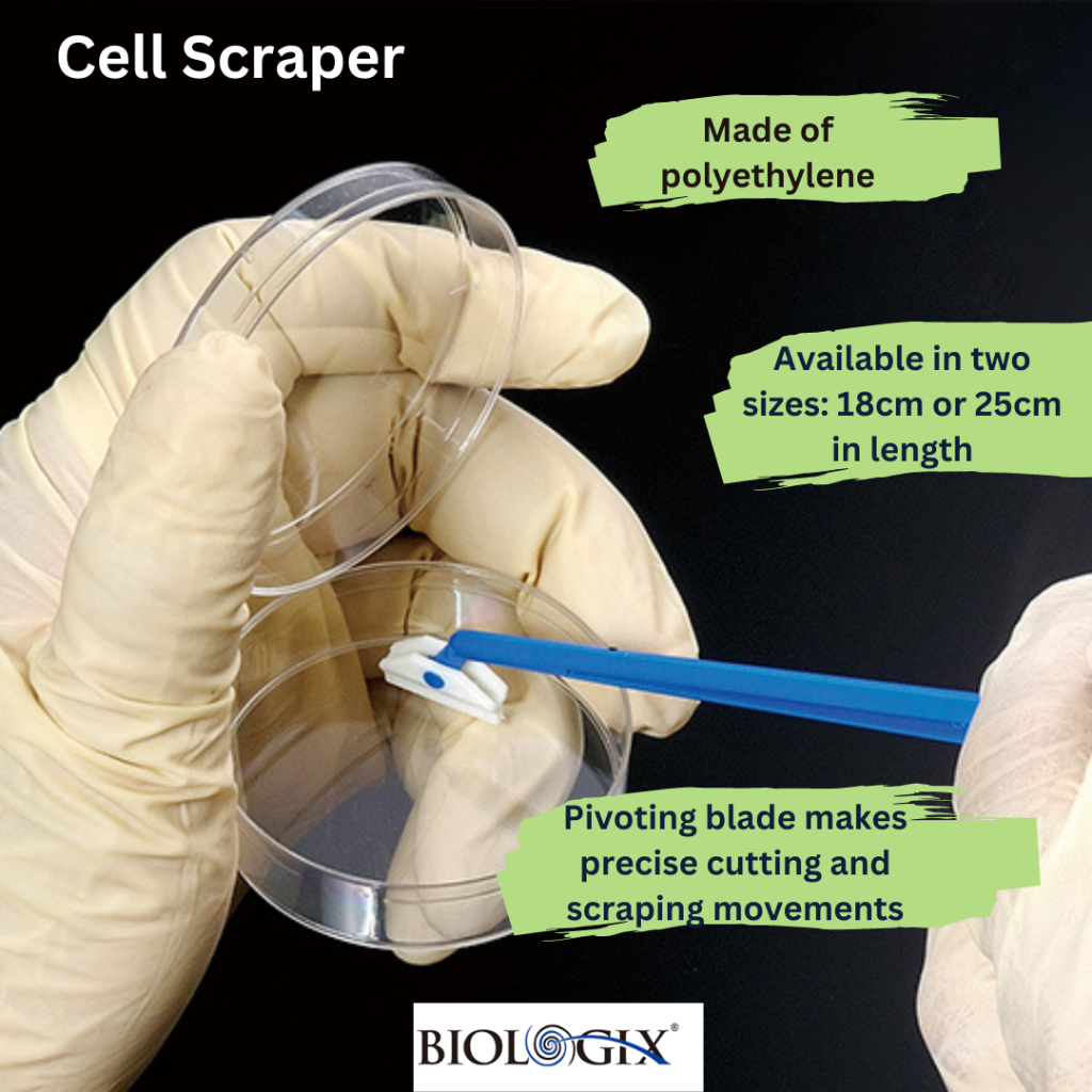 Biologix Cell Scraper 18cm Handle, Sterile, Individually Packaged, 100 ...