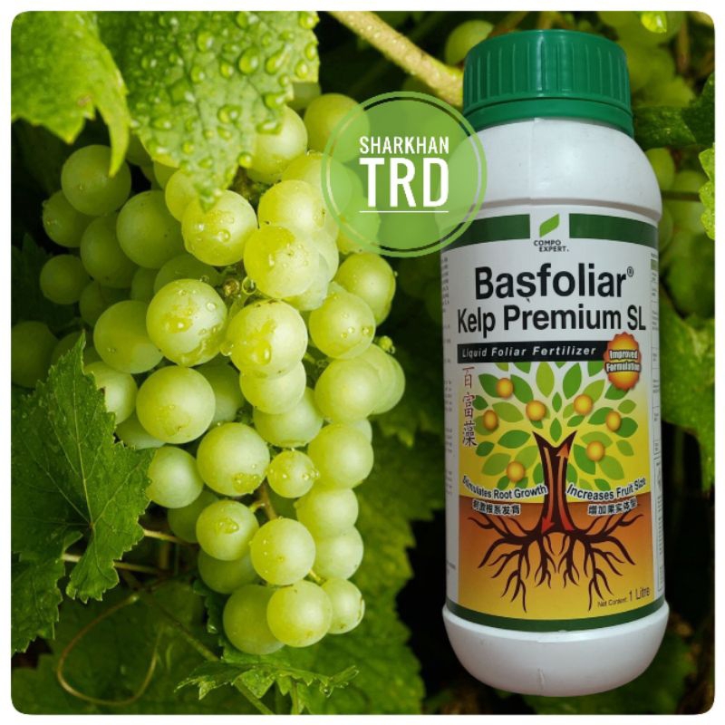 HOT!!🔥 1 Liter BASFOLIAR KELP PREMIUM SL Biostimulant Baja Organik ...