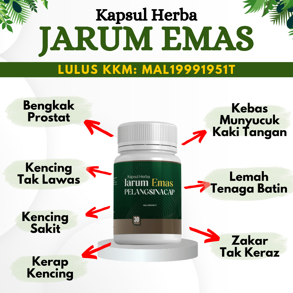 Kapsul Jarum Emas, Herba Lawas Kencing, Kerap Kencing, Bengkak Prostat ...