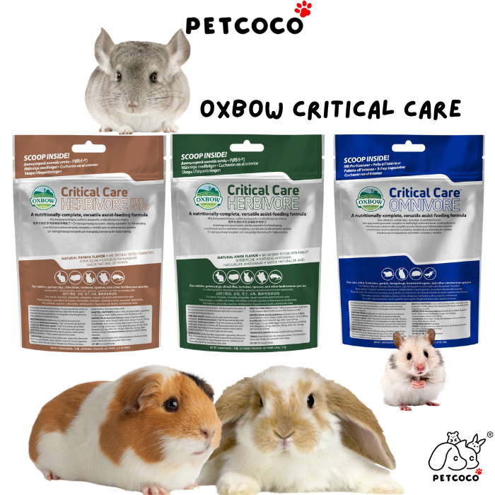 PetCoCo 🐾 Oxbow Critical Care Herbivore 36g 100g Omnivore 70g ...