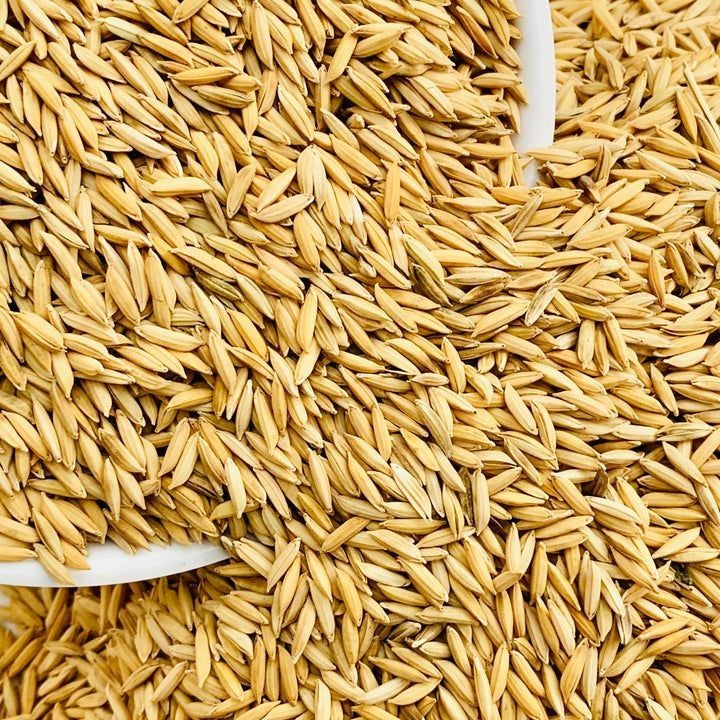 NELLU/PADDY/PADI/500GM/1KG | Shopee Malaysia