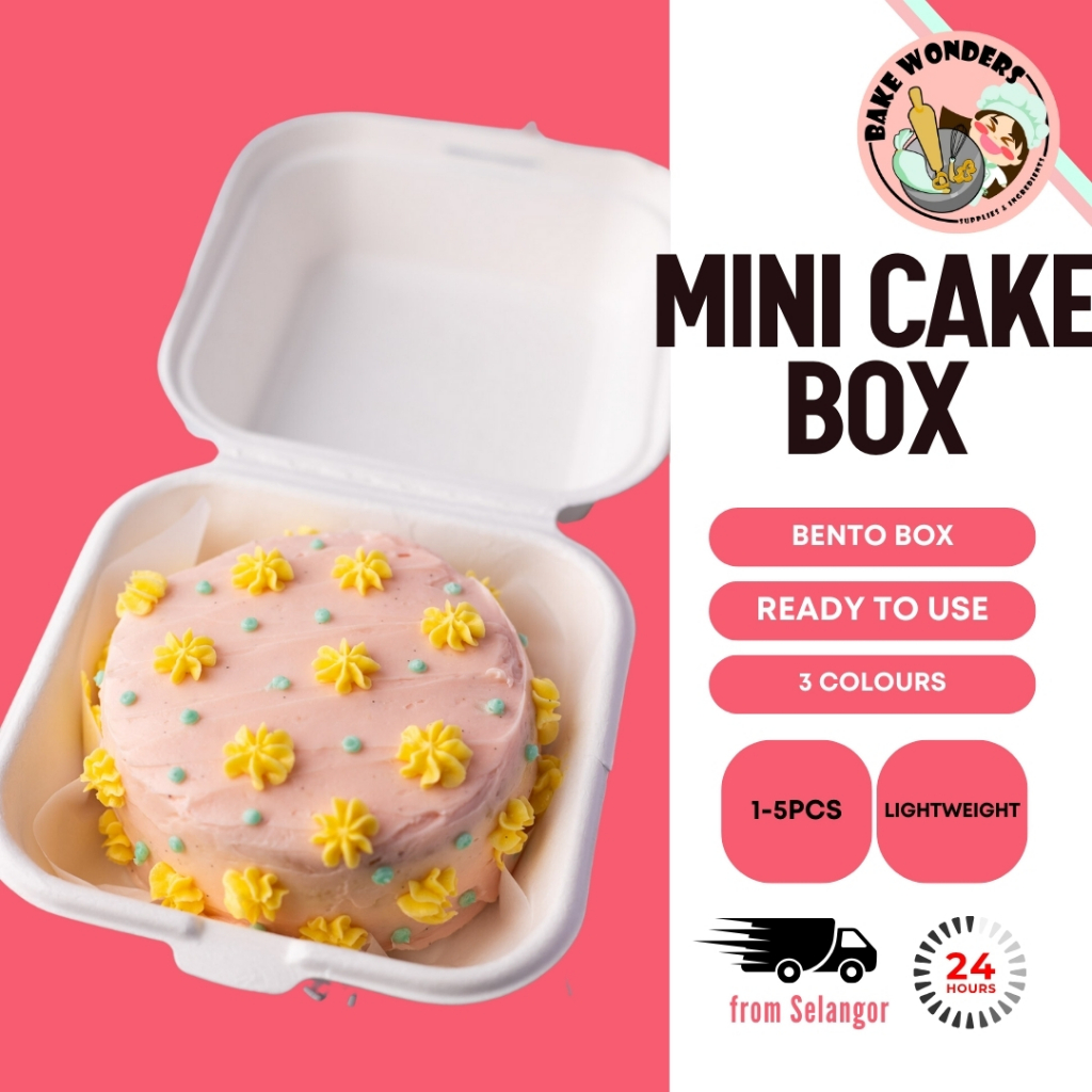 Bento Cake Box/ Mini Cake Box/ Cake Box/ Plastic Cake Box/ Cake Box ...