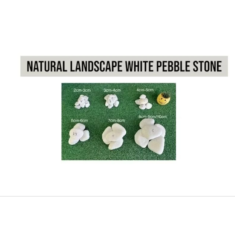 1kg White Pebble Natural Stone For Garden Landscape/Batu Putih Semula ...