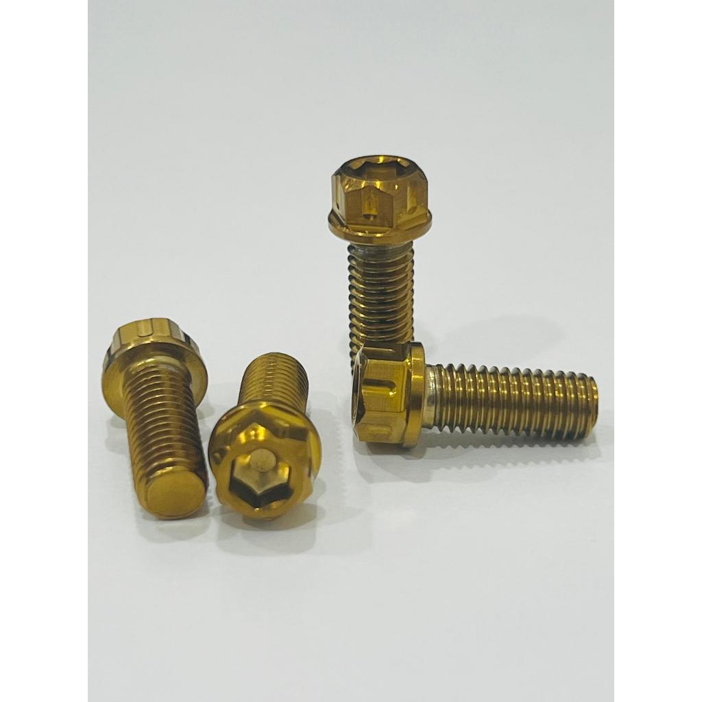 Forged Titanium M8*20MM (Size 10) Screw 100% Original Skru Gold Emas ...