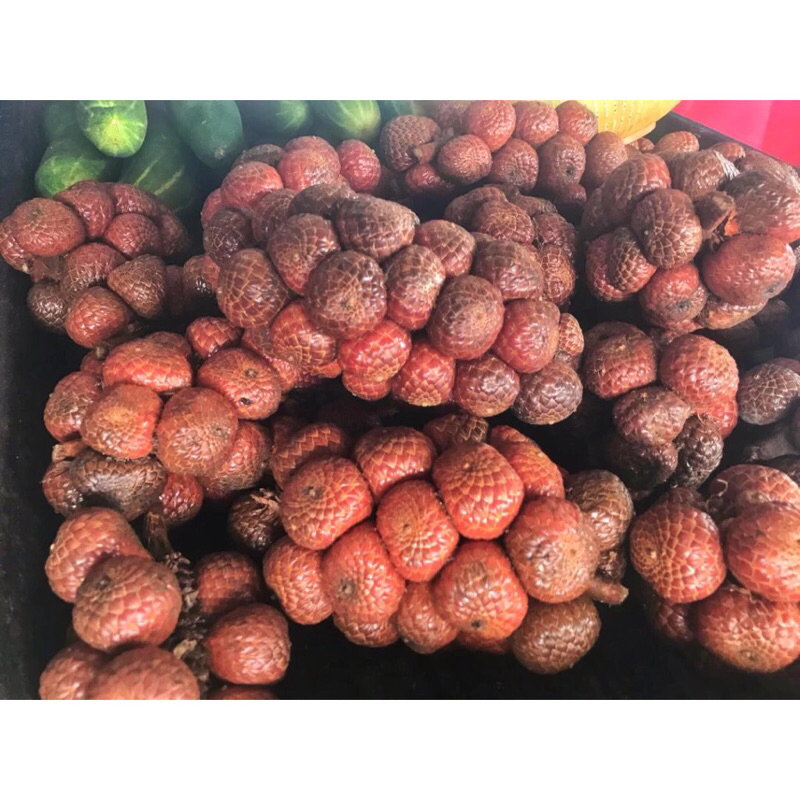 BUAH KELUBI SEGAR | KELUBI FRESH TEMPATAN BELUM DIKOPEK 500g | Shopee ...