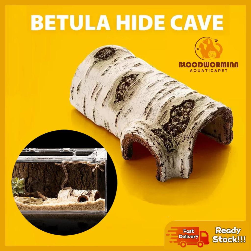 BARBAROUS GROWTH Reptile Birch Hidden Caves S/M/L 爬行动物藏身洞穴（READY STOCK ...