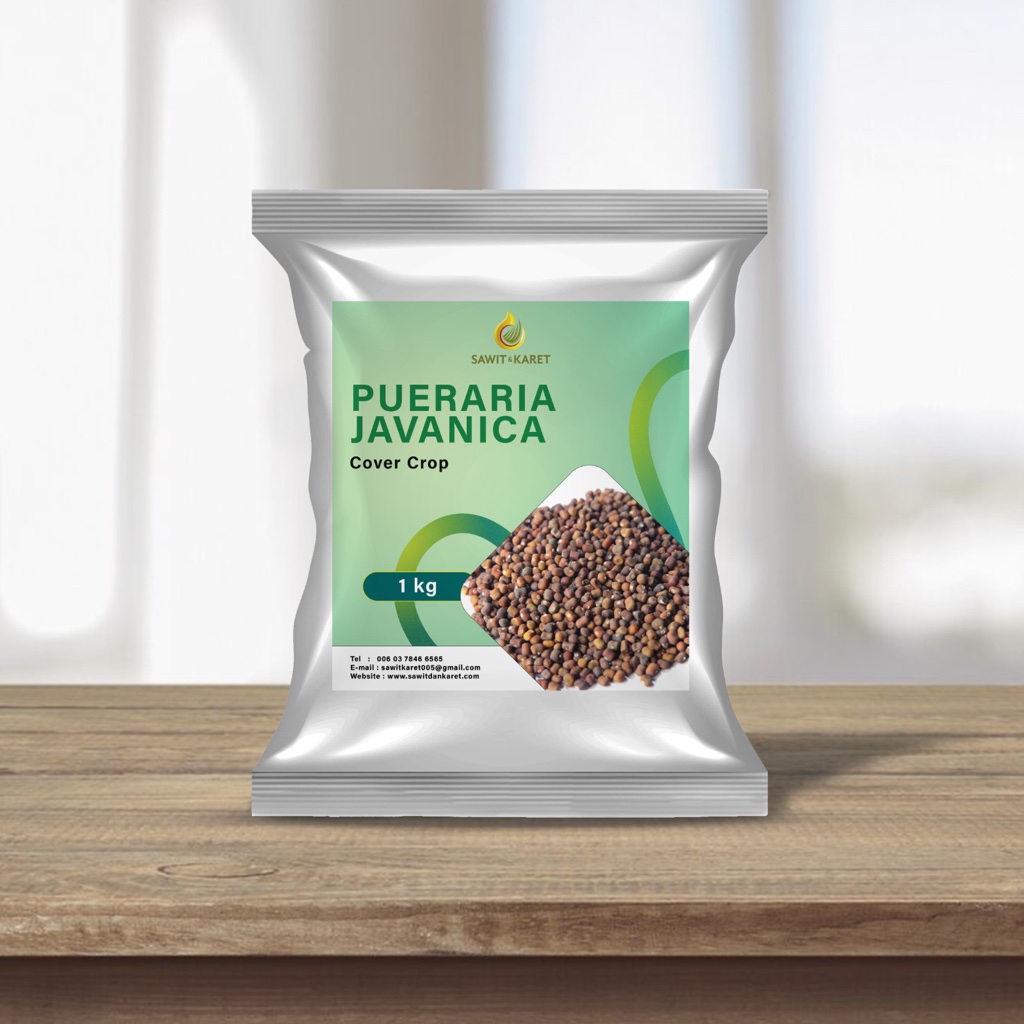 Pj Pueraria Javanica Cover Crops Penutup Bumi 1KG | Shopee Malaysia