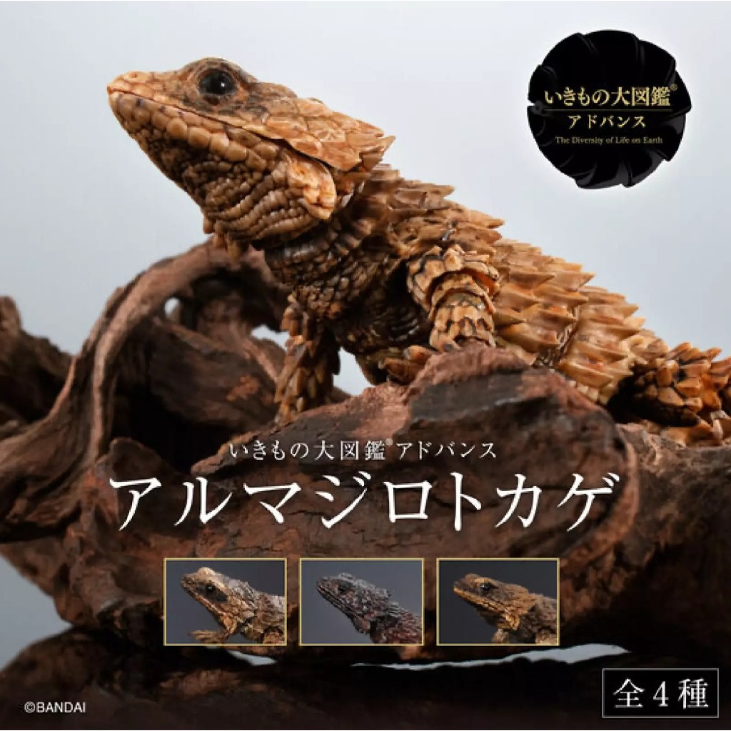 Bandai The Diversity of Life on Earth Gashapon Armadillo Lizard ...