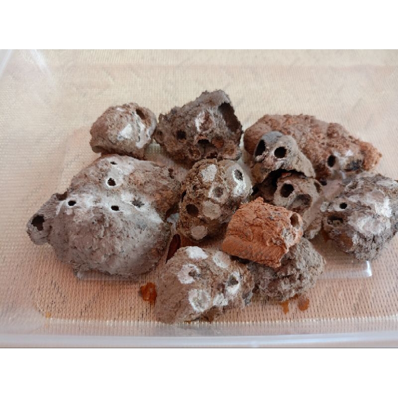 Sarang angkut angkut | Shopee Malaysia