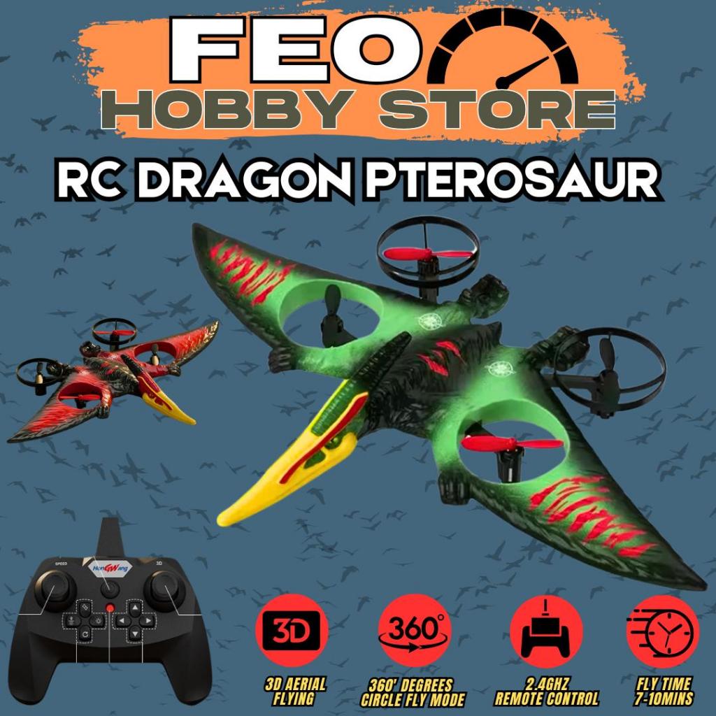 FEO- RC Pterosaur Remote Control Warplane Flight Anti-Fall Remote ...