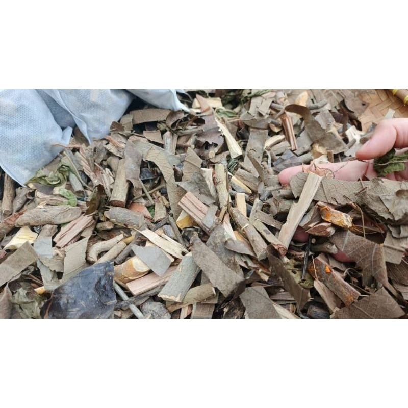 Ubat Periuk Akar dan Herba Tradisional | Shopee Malaysia