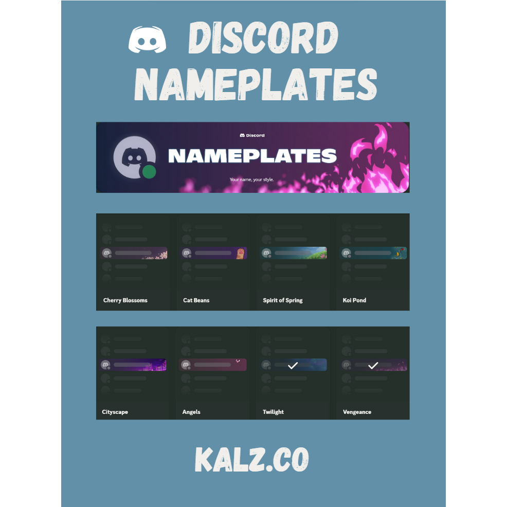 [CHEAPEST] Discord Nameplates | Ready Stock | Shopee Malaysia